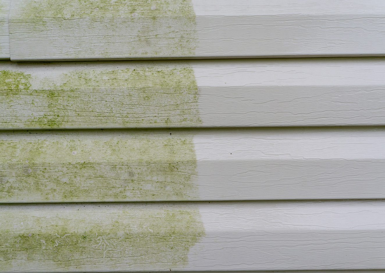 Pressure Washing & Soft Washing